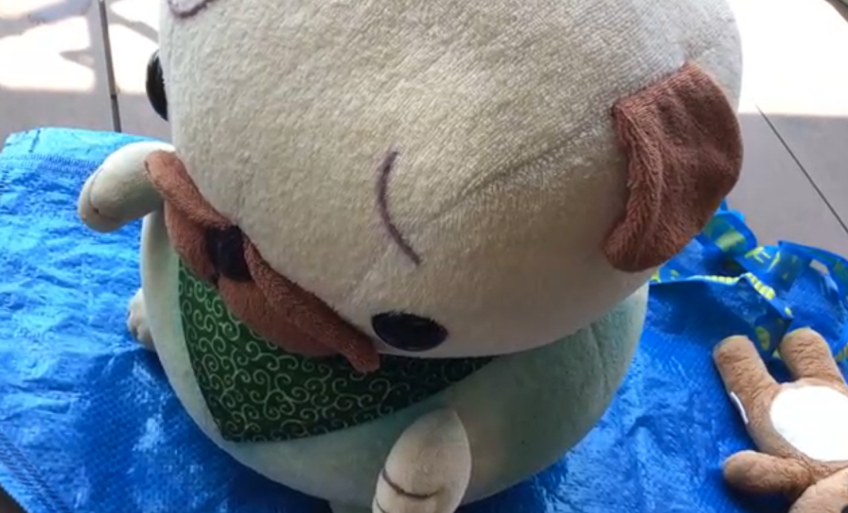 Japanese Level check before Yukiko’s lesson | Learn Japanese Online